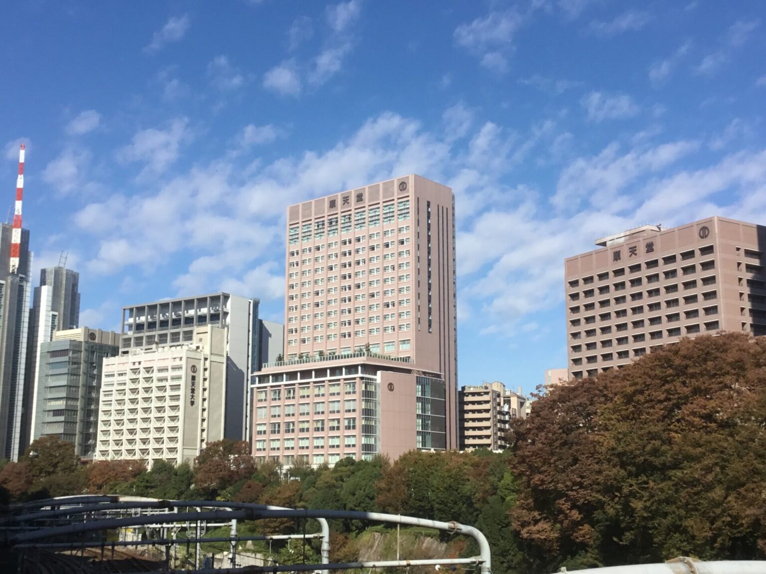 浜松医科大学入試傾向と対策｜前期・後期日程の対策法- MEDICAL DIG(メディカルディグ) - 医学部専門個別